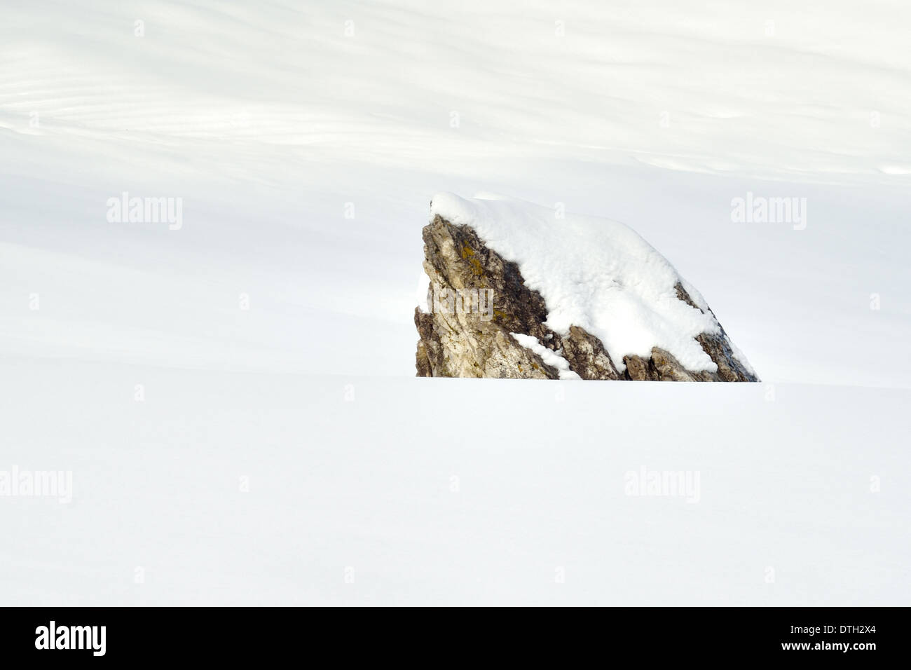 Tick Rock High Resolution Stock Photography and Images - Alamy