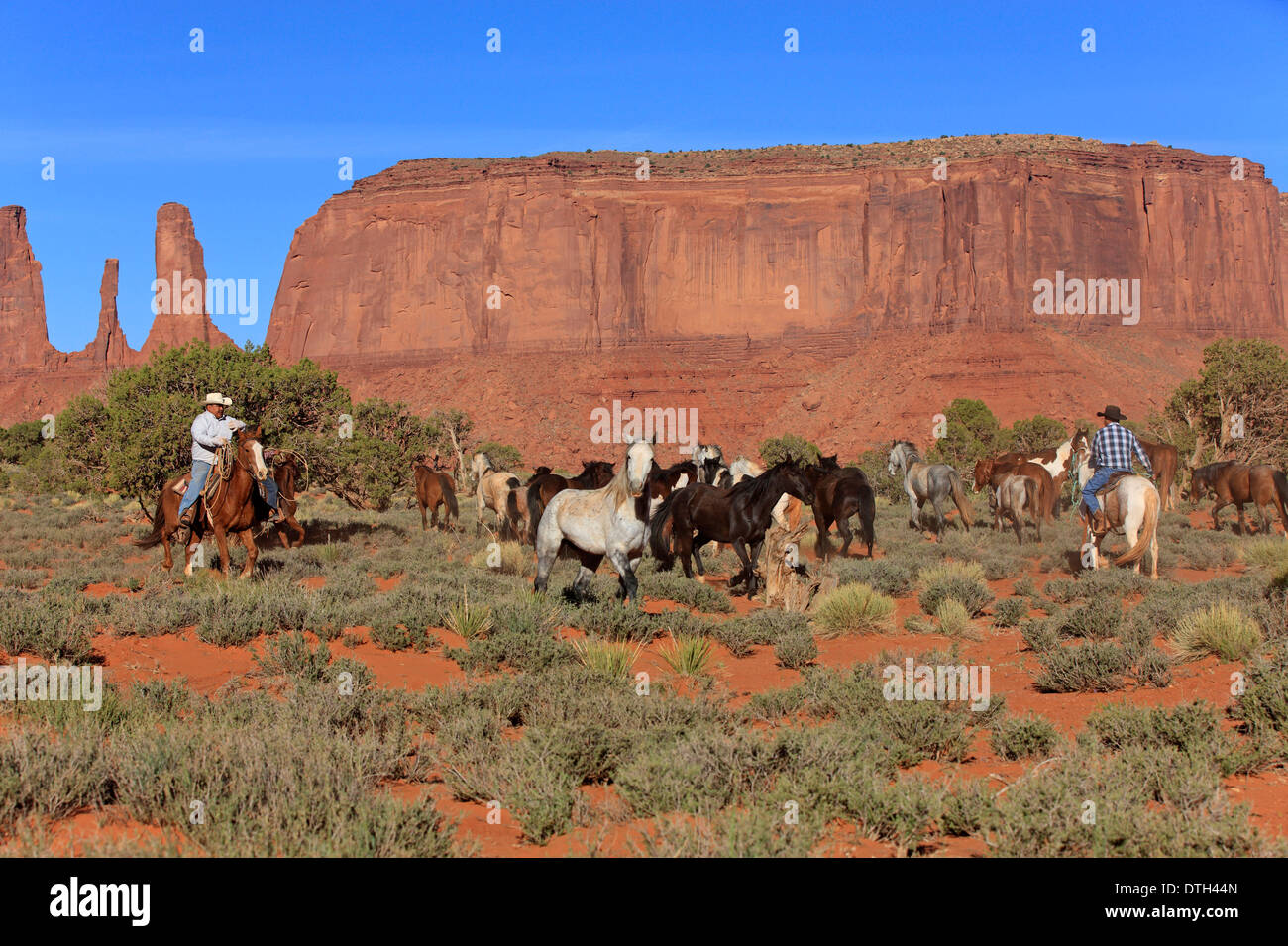 Two cowboys riding horses hi-res stock photography and images - Alamy