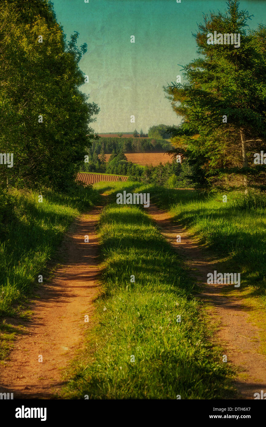 A dirt road running through farmland in rural Prince Edward Island ...