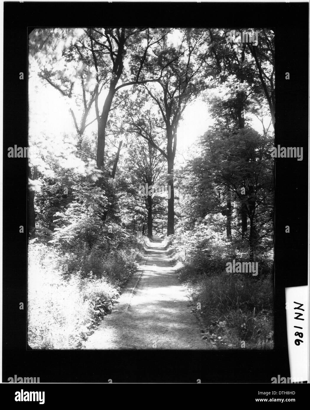 A photograph of a path through the lower campus of Miami University in ...