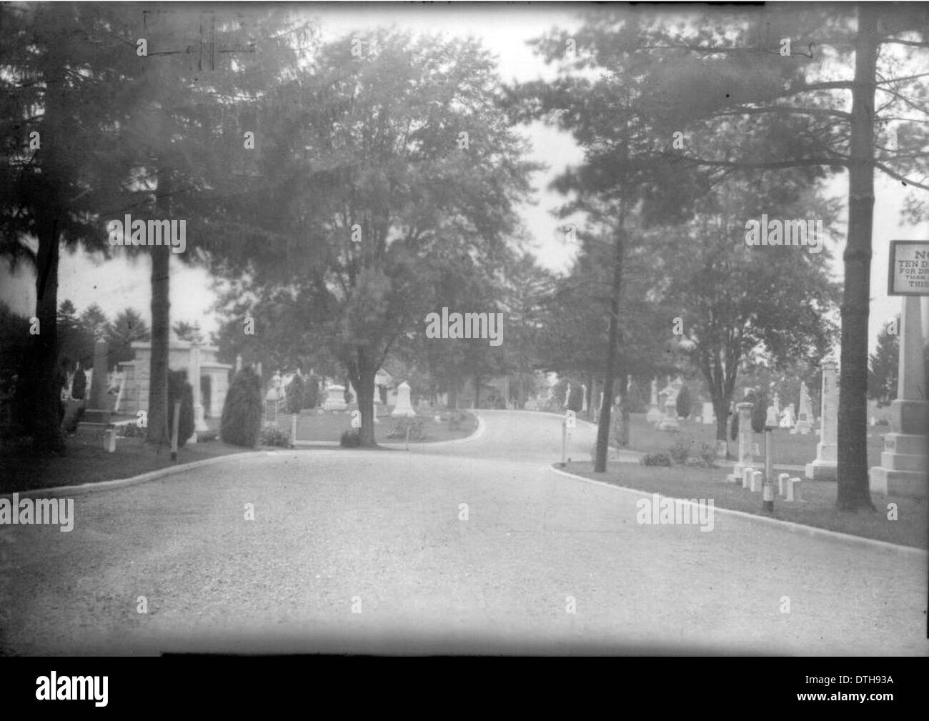 This historical photograph captures a view of the driveway at East Hill ...