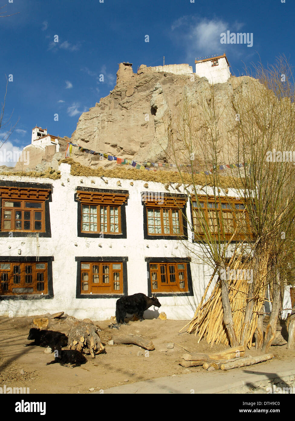 Basgo monastery hi-res stock photography and images - Alamy