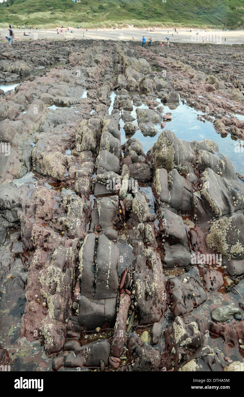 Exposed vertical rock formations on Manorbier beach, Pembrokeshire ...