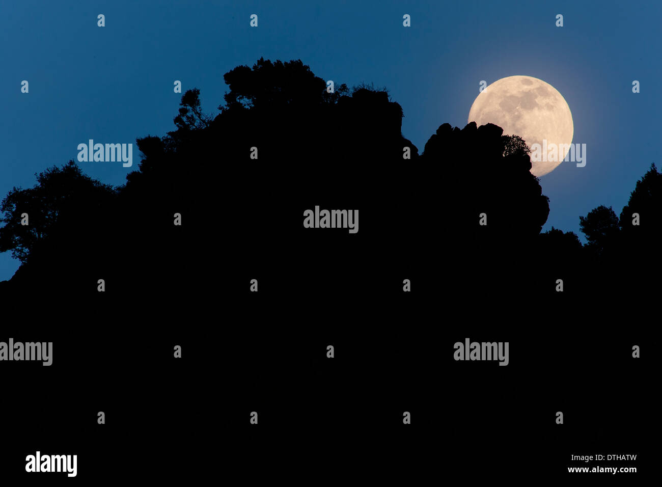 Tree with large moon behind hi-res stock photography and images - Alamy
