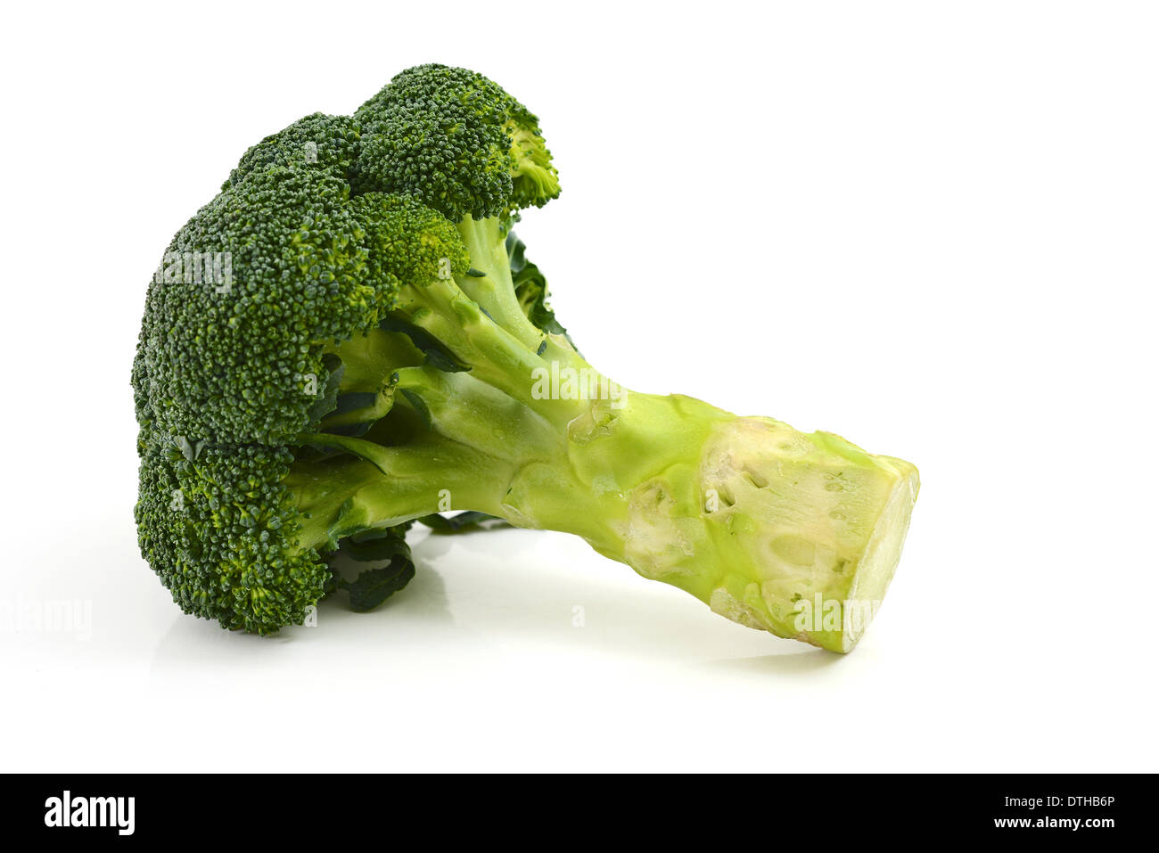 Floret hi-res stock photography and images - Alamy
