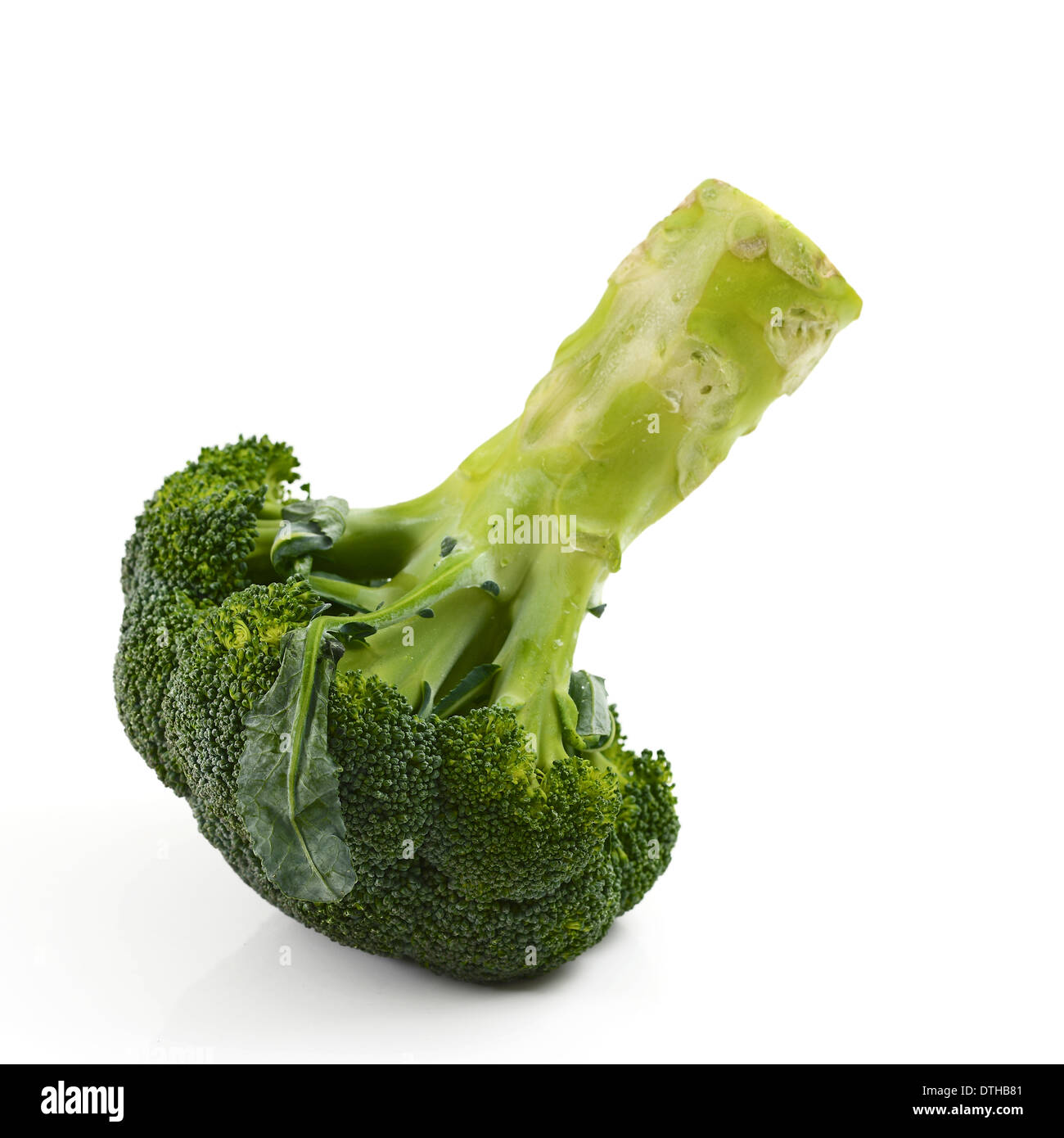 Floret hi-res stock photography and images - Alamy