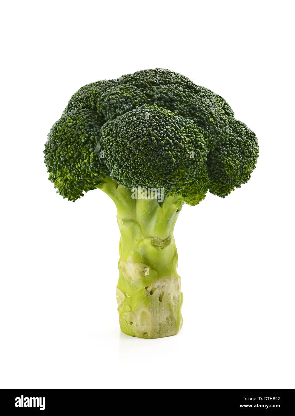 Floret hi-res stock photography and images - Alamy