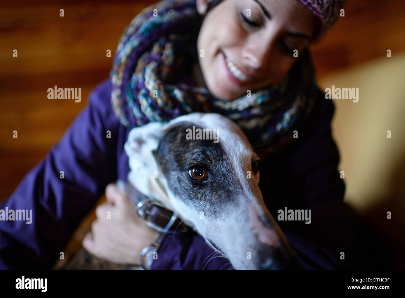 Young woman hugging her greyhound dog Stock Photo - Alamy