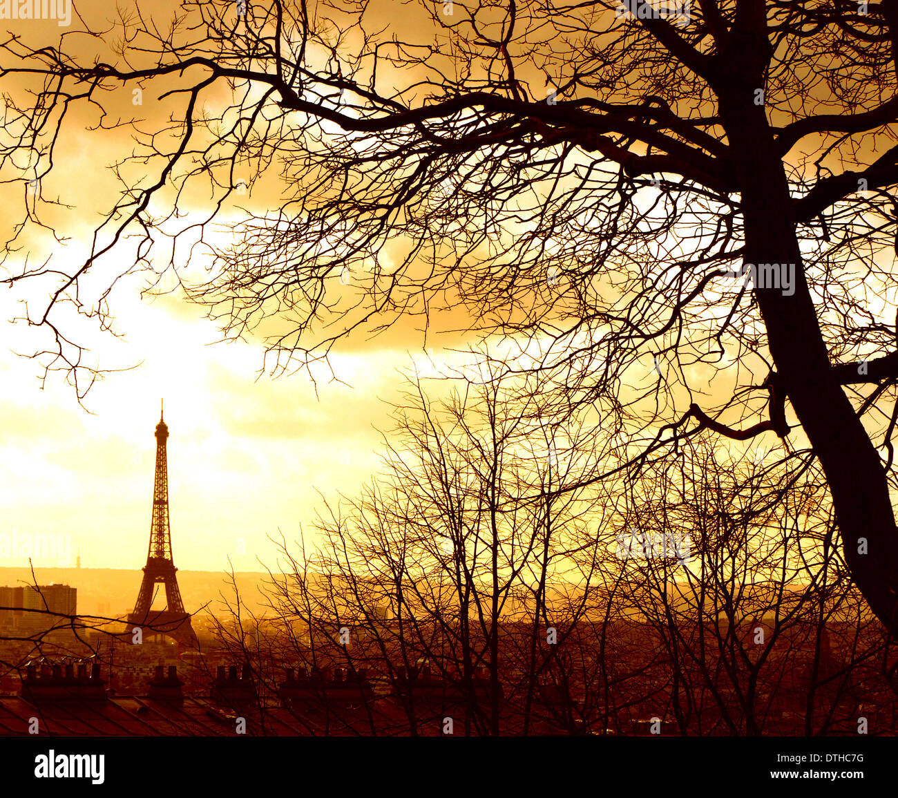 Eiffel tower between trees hi-res stock photography and images - Alamy Eiffel tower between trees hi-res stock photography and images - Alamy
