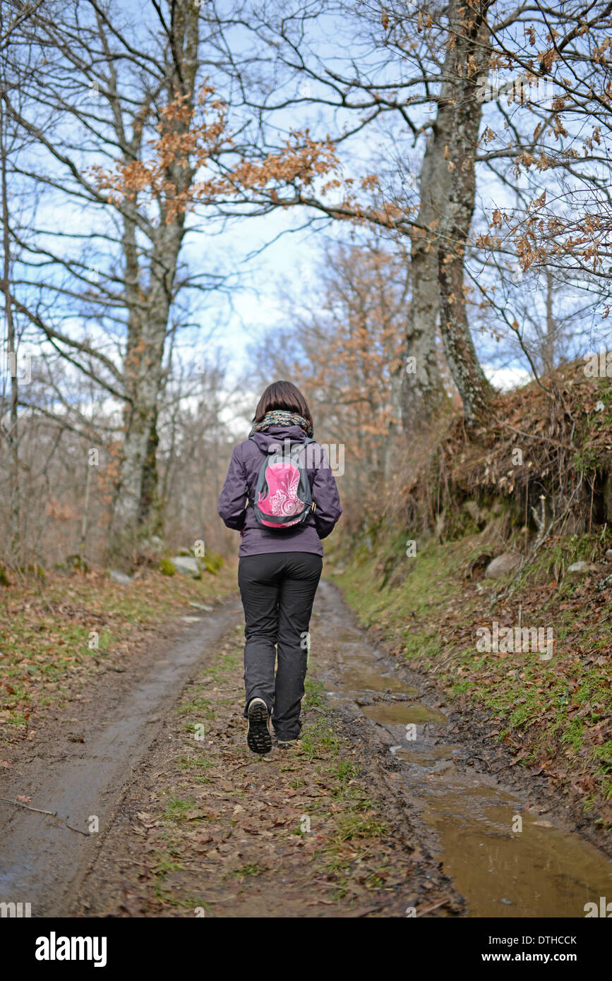 Back view of young woman walking in forest Stock Photo - Alamy