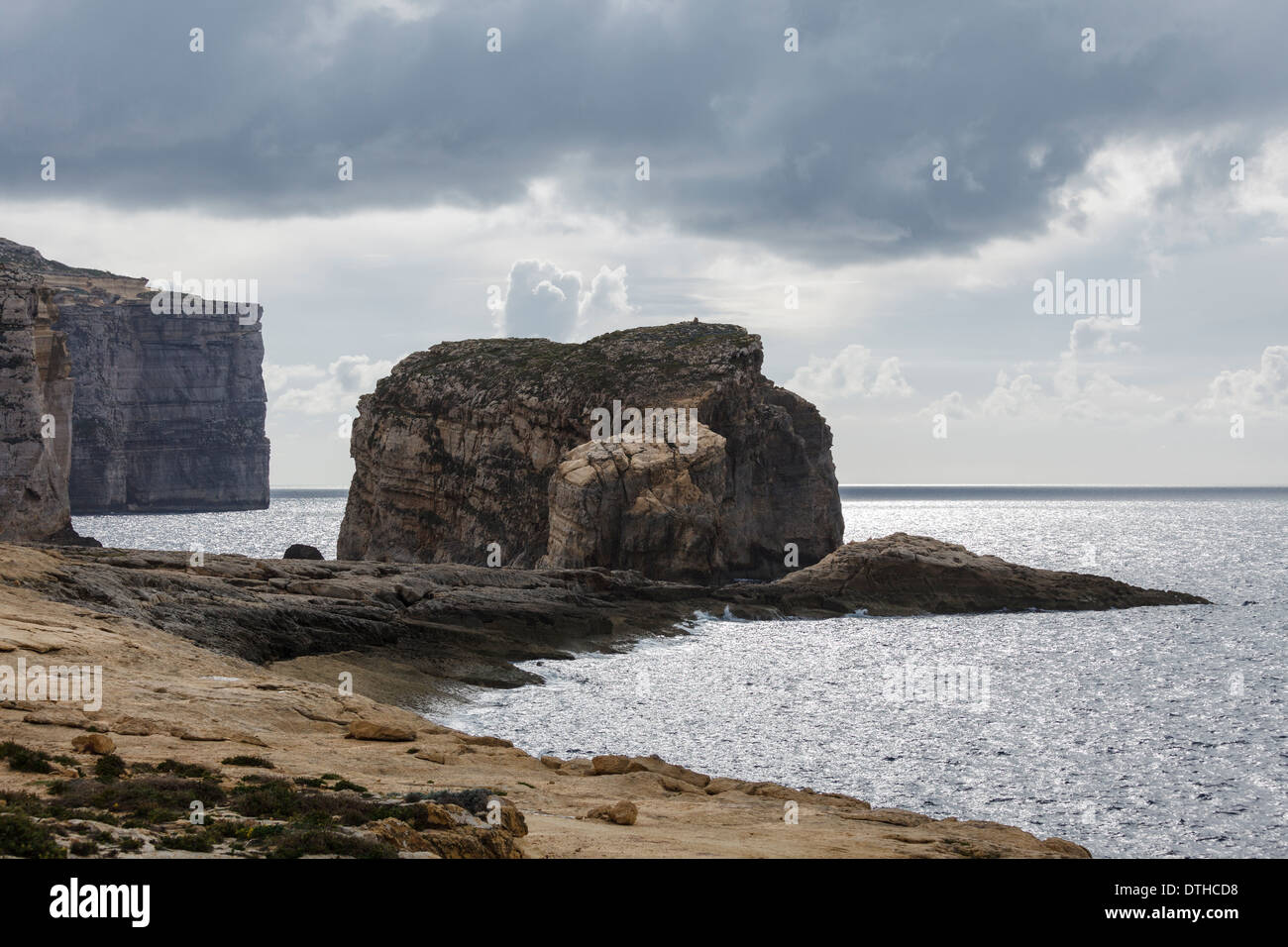Coastal fungus hi-res stock photography and images - Alamy