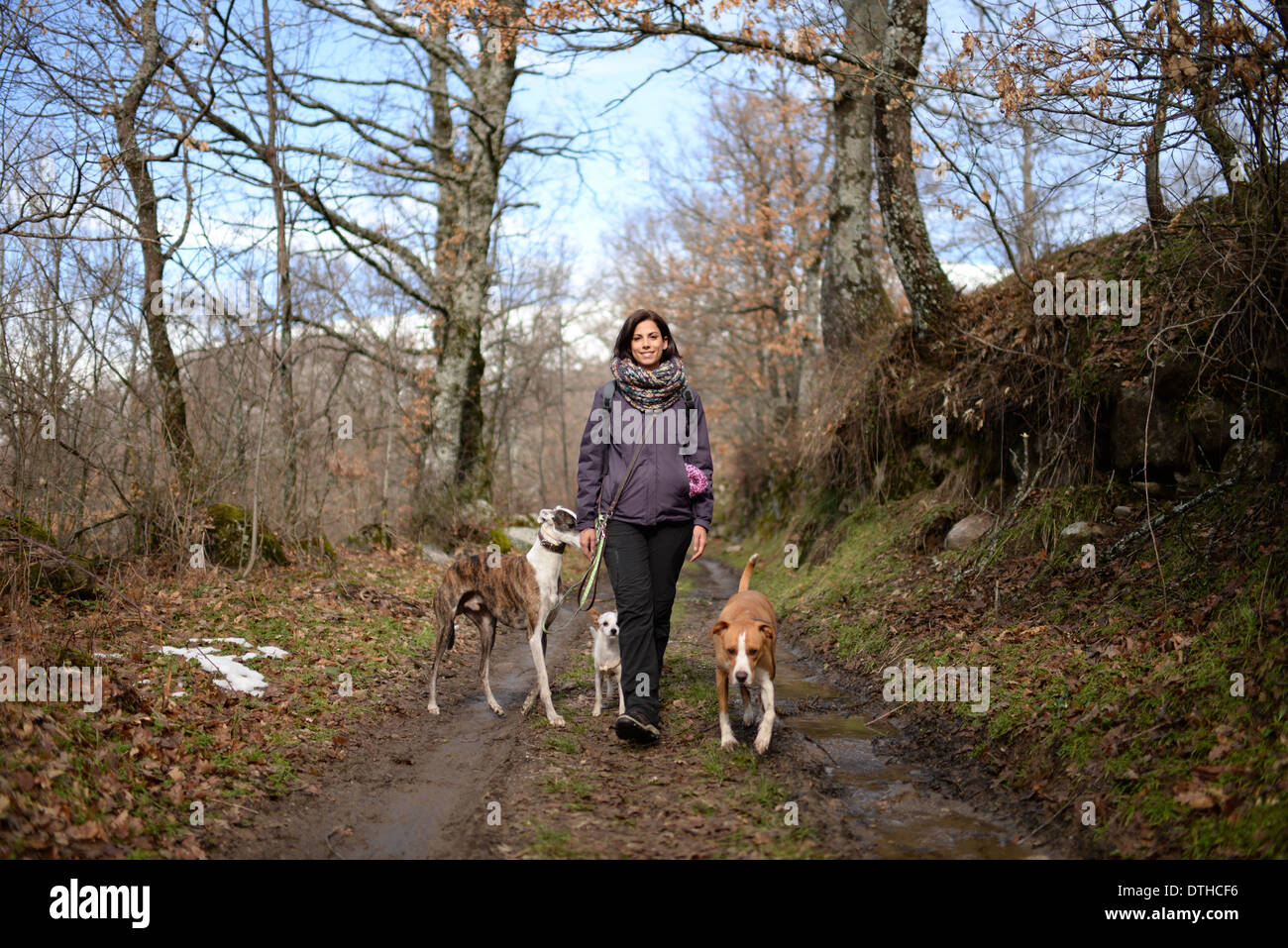 Woman and dogs hiking hi-res stock photography and images - Alamy
