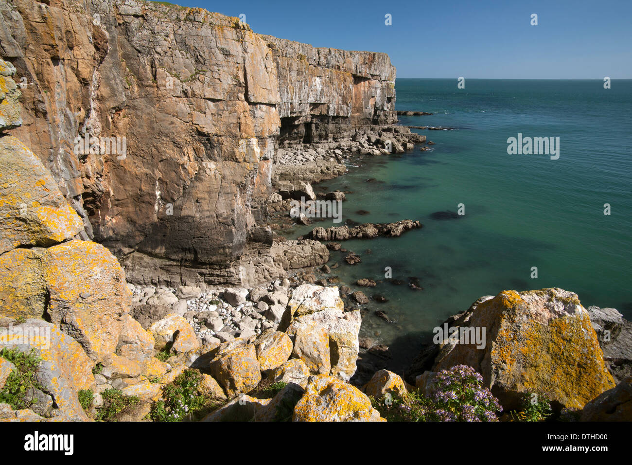 sea cliffs near Flimstone Bay, Pembrokeshire Stock Photo - Alamy