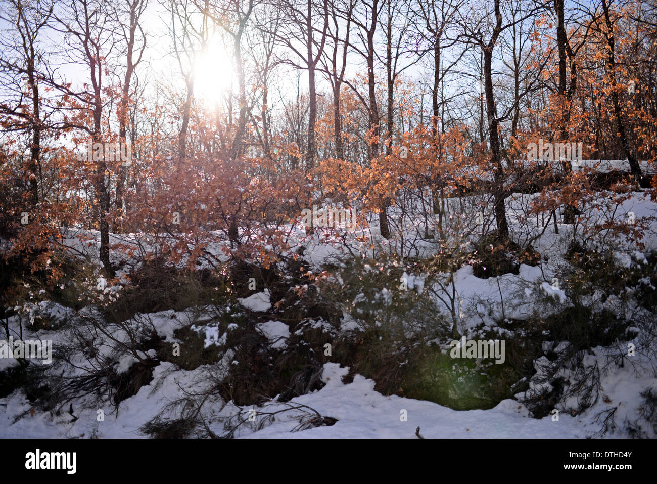 Winter landscape in Vigo de Sanabria, Zamora Stock Photo - Alamy