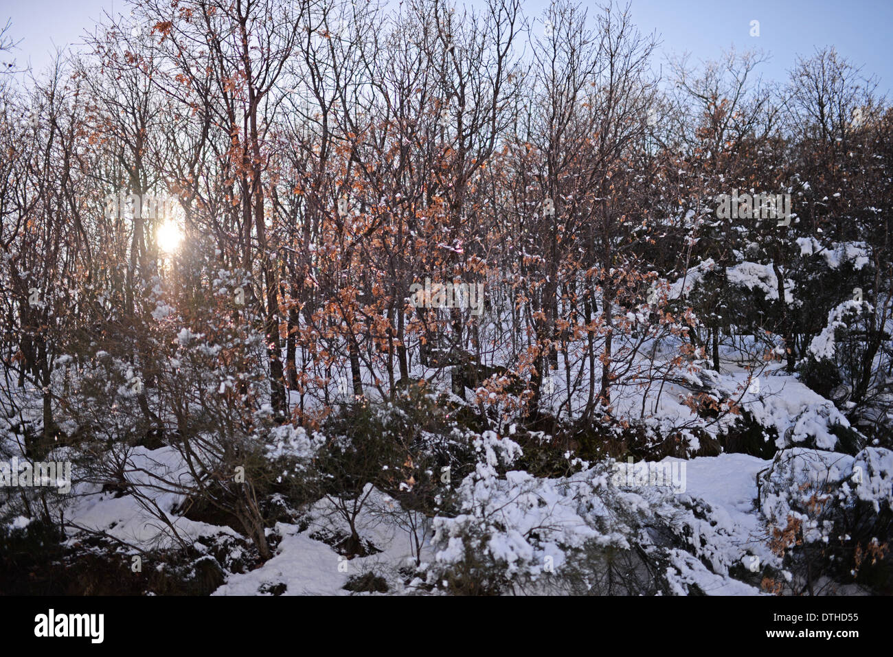Winter landscape in Vigo de Sanabria, Zamora Stock Photo - Alamy