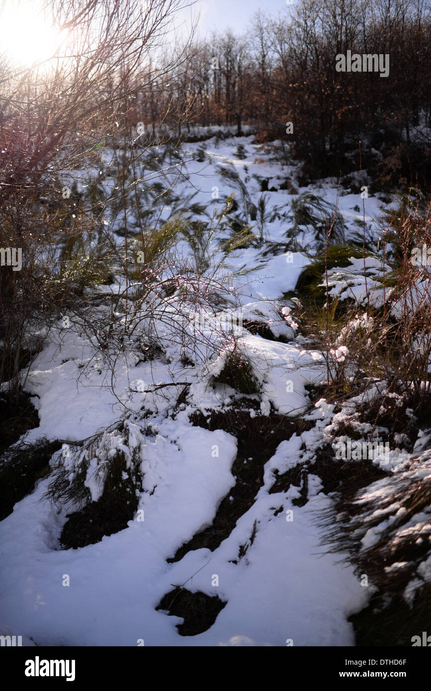Winter landscape in Vigo de Sanabria, Zamora Stock Photo - Alamy