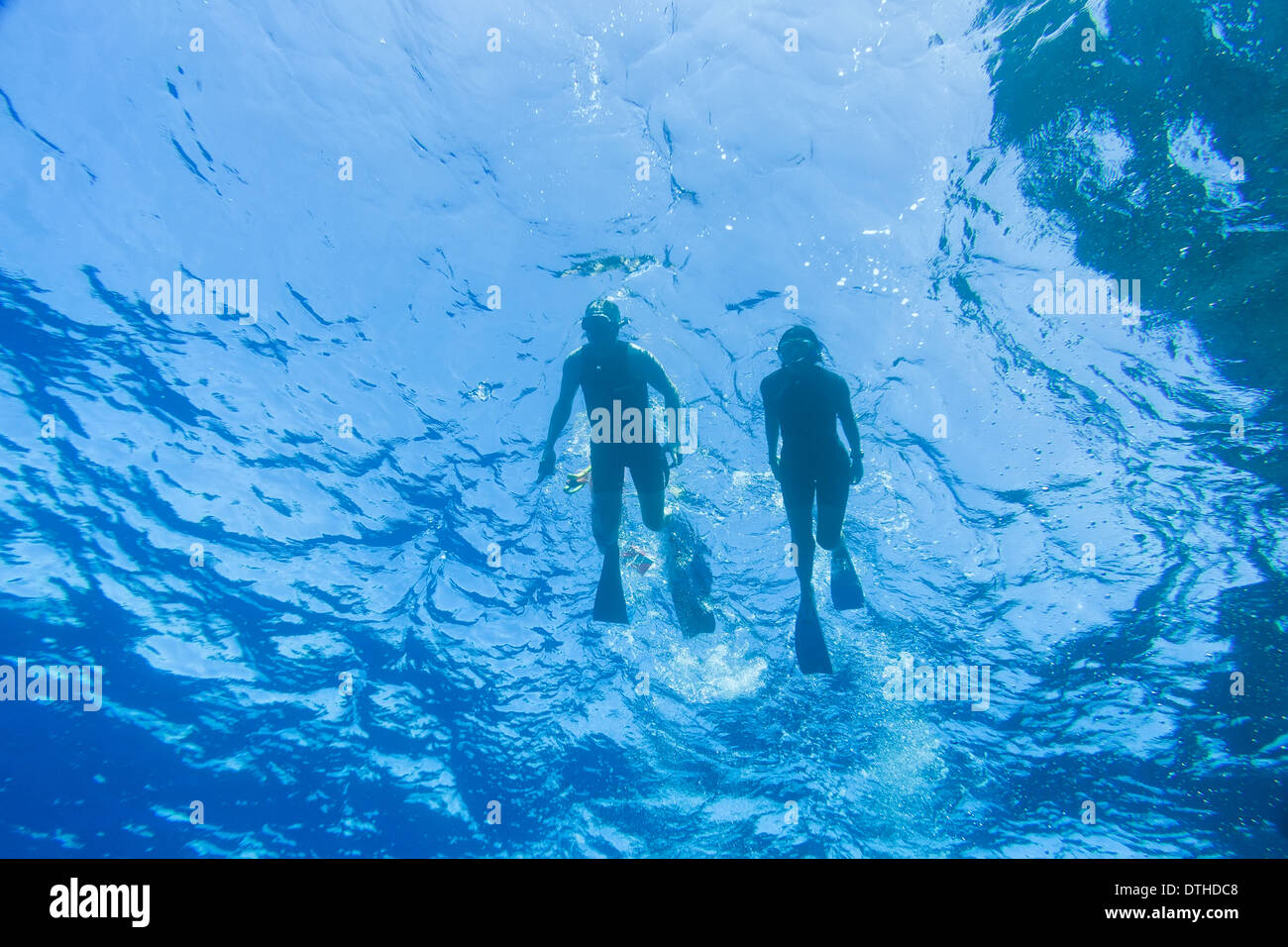 Underwater swimmers hi-res stock photography and images - Alamy