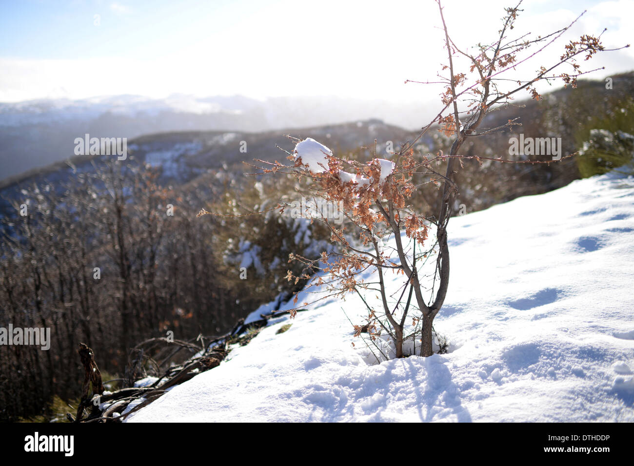 Winter landscape in Vigo de Sanabria, Zamora Stock Photo - Alamy