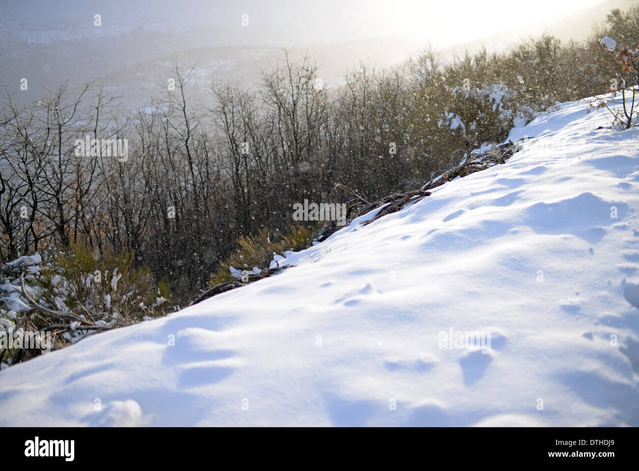 Winter landscape in Vigo de Sanabria, Zamora Stock Photo - Alamy
