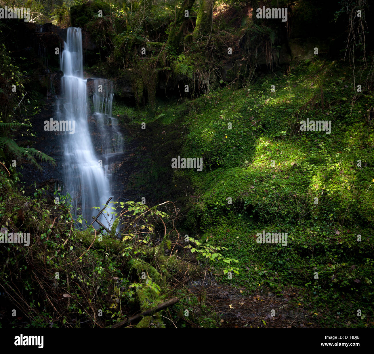 beautiful waterfall in sun dappled glade Stock Photo - Alamy