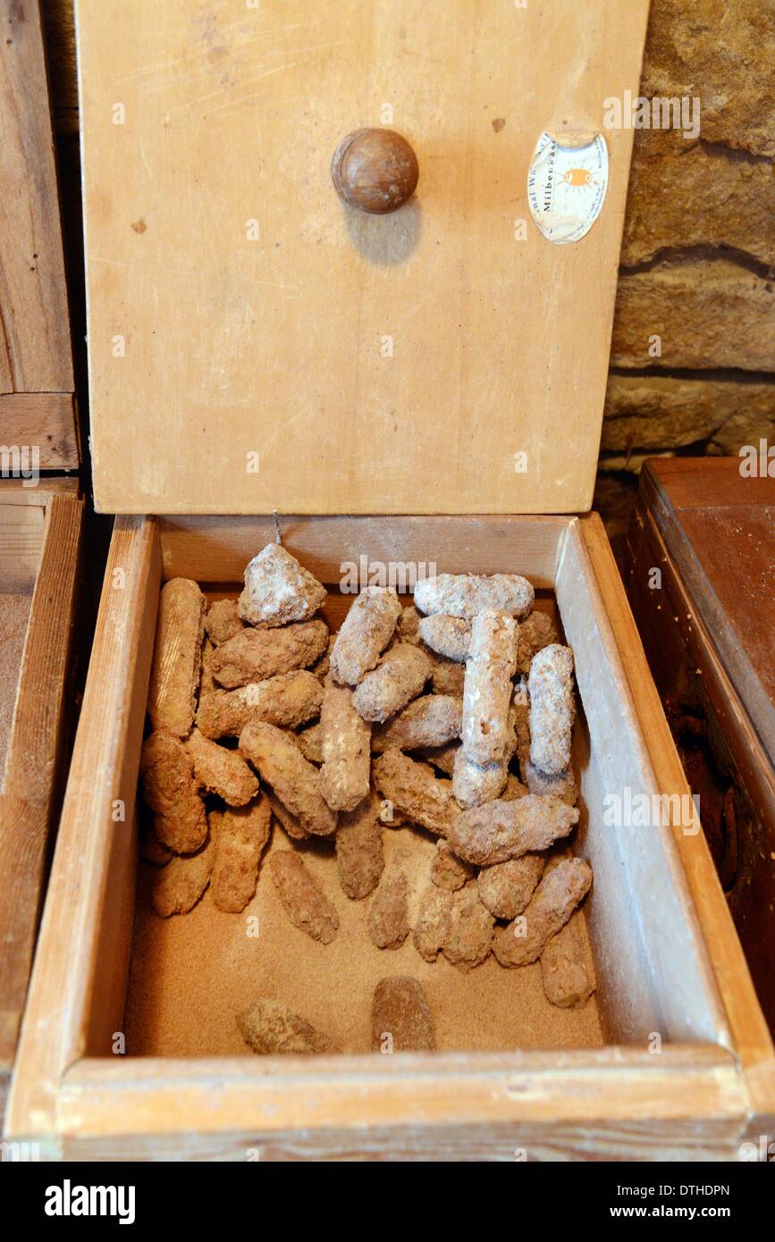 Mite cheese hi-res stock photography and images - Alamy