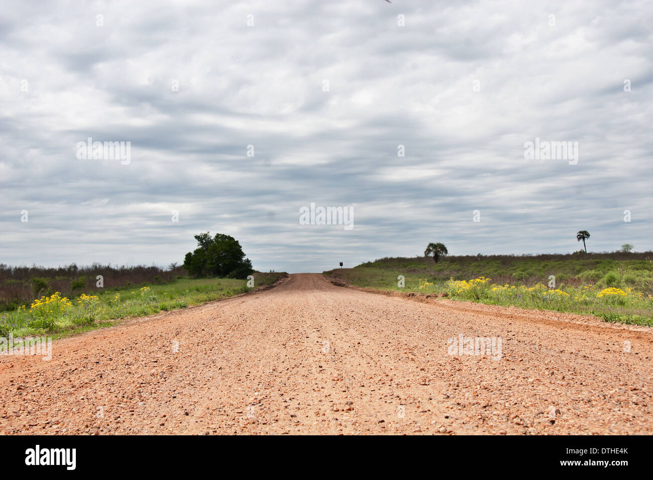 El Palmar national park, Entre Rios province, Argentine Stock Photo - Alamy