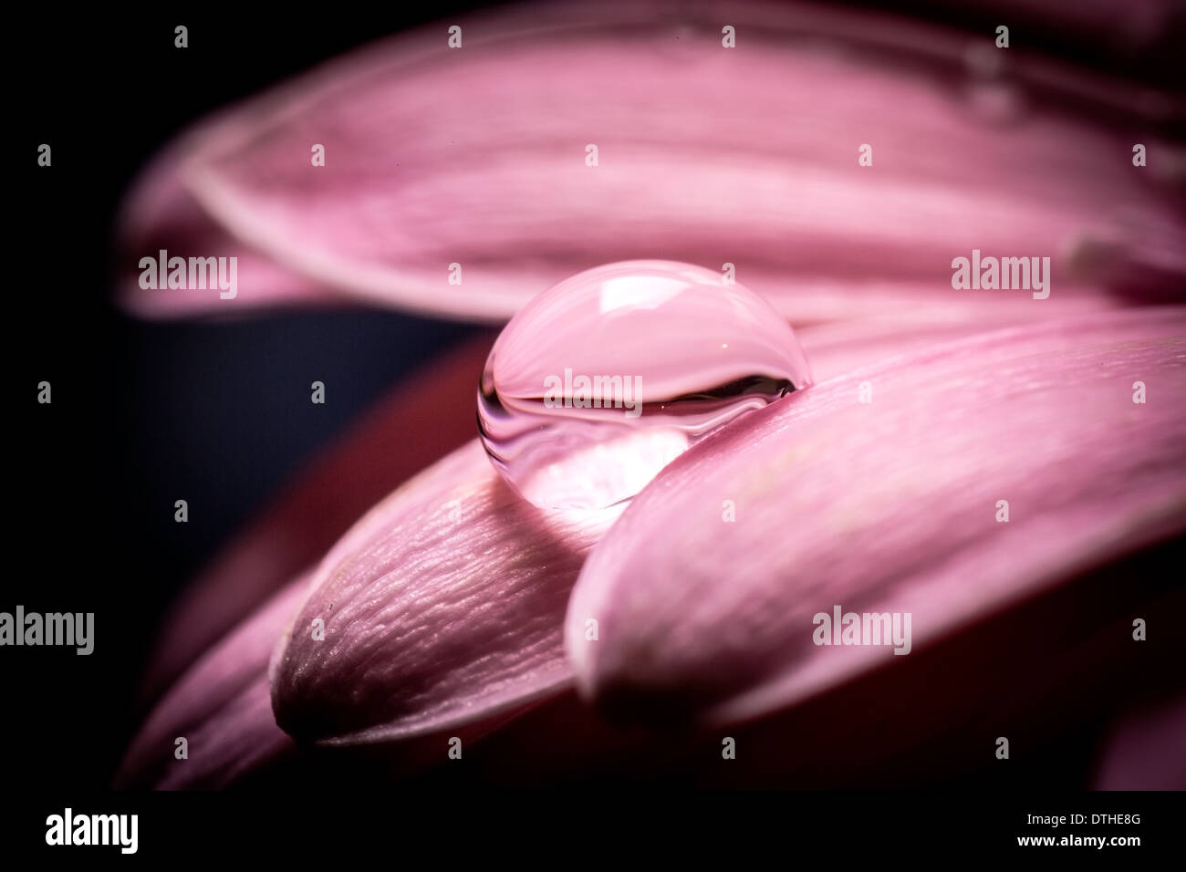 Water drop water droplets hi-res stock photography and images - Alamy