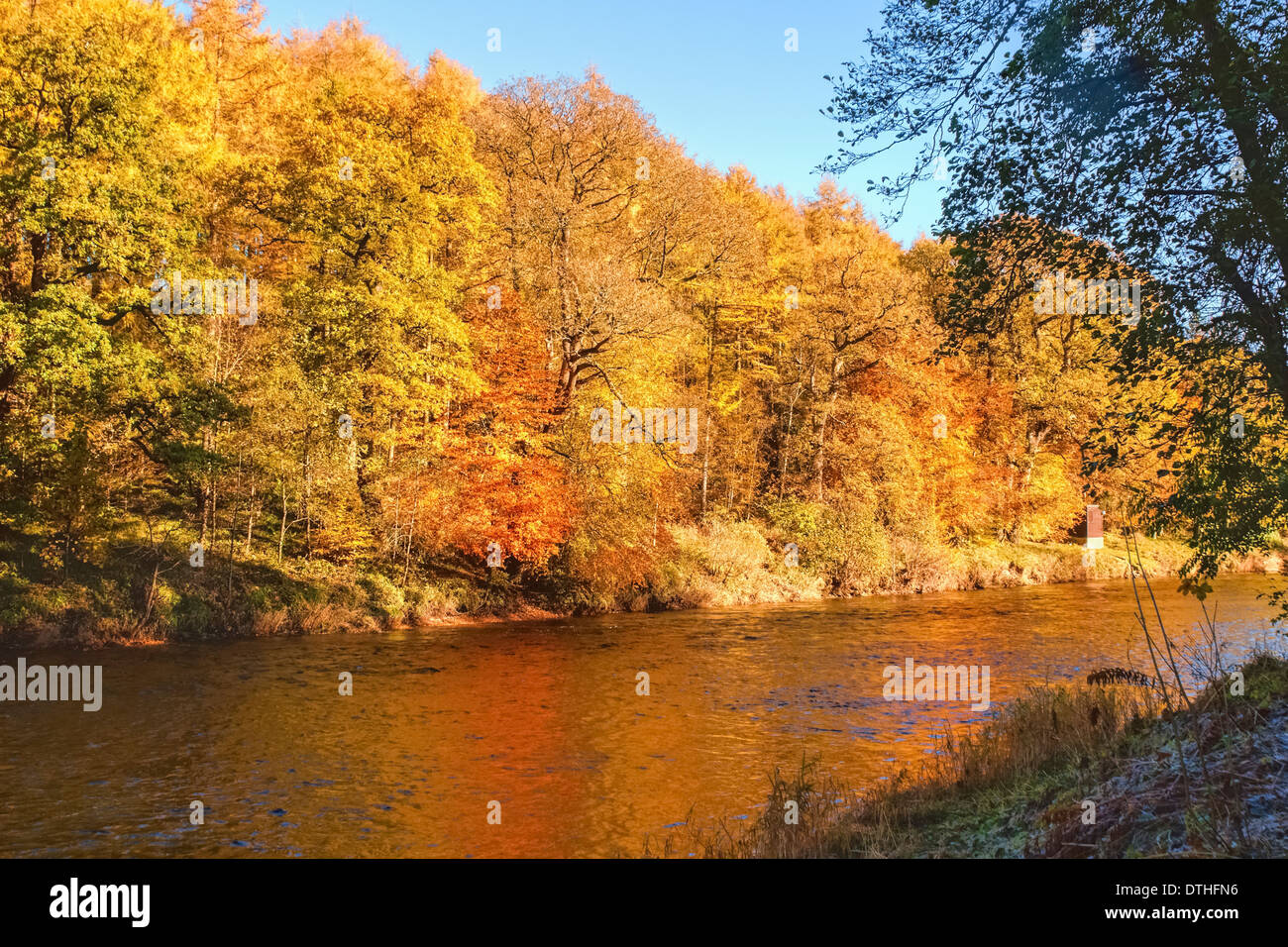Peaceful autumn walk hi-res stock photography and images - Alamy