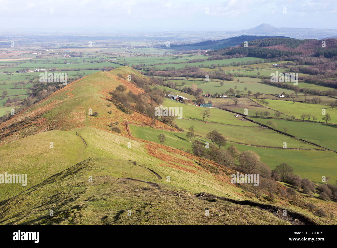 Looking across north Shropshire towards the Wrekin from the Lawley near ...
