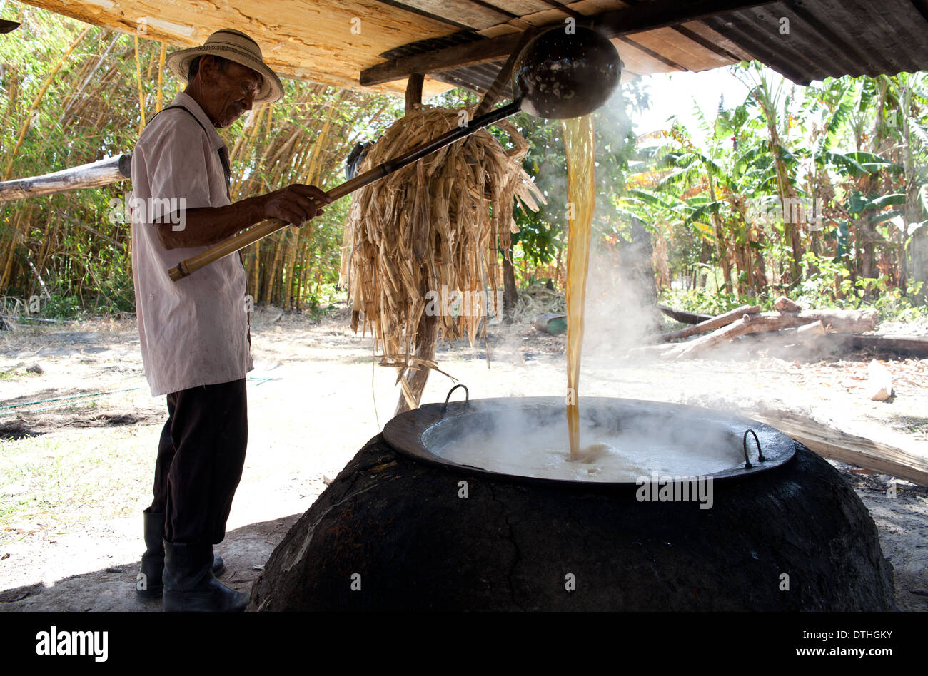 Panama agriculture hi-res stock photography and images - Alamy