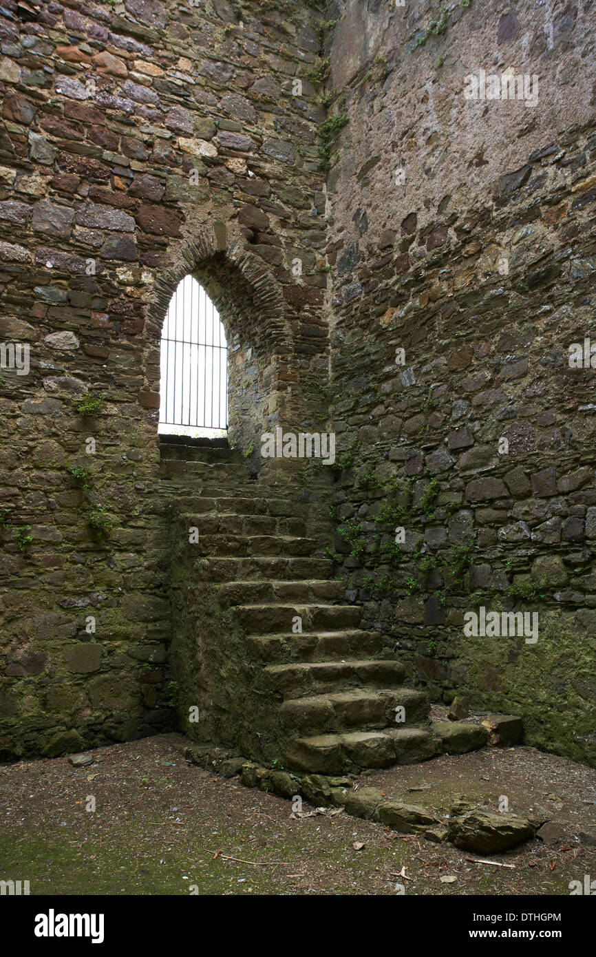 13th century dunbrody abbey hi-res stock photography and images - Alamy