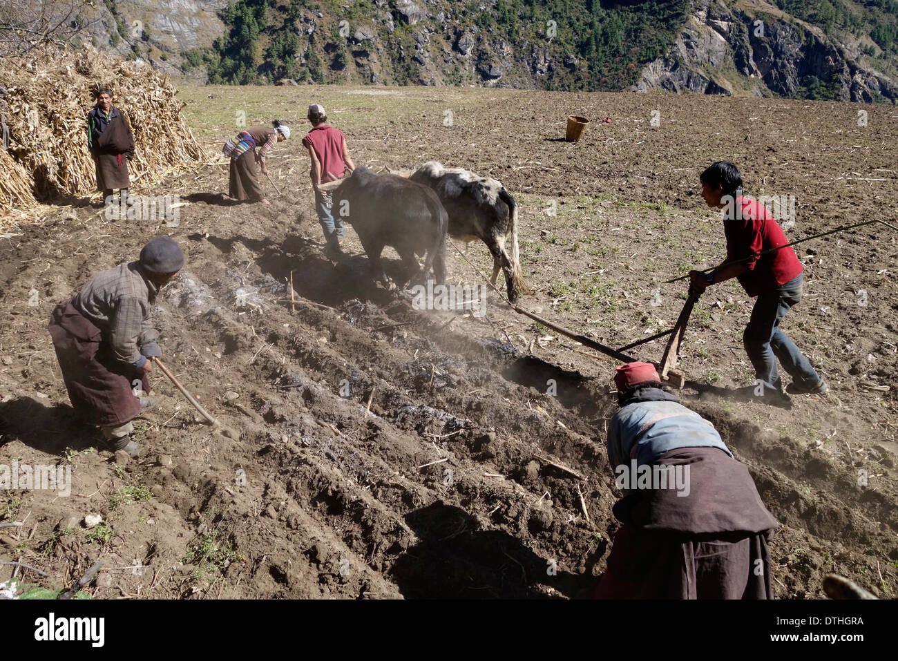 Hand Plow Stock Photos & Hand Plow Stock Images - Alamy