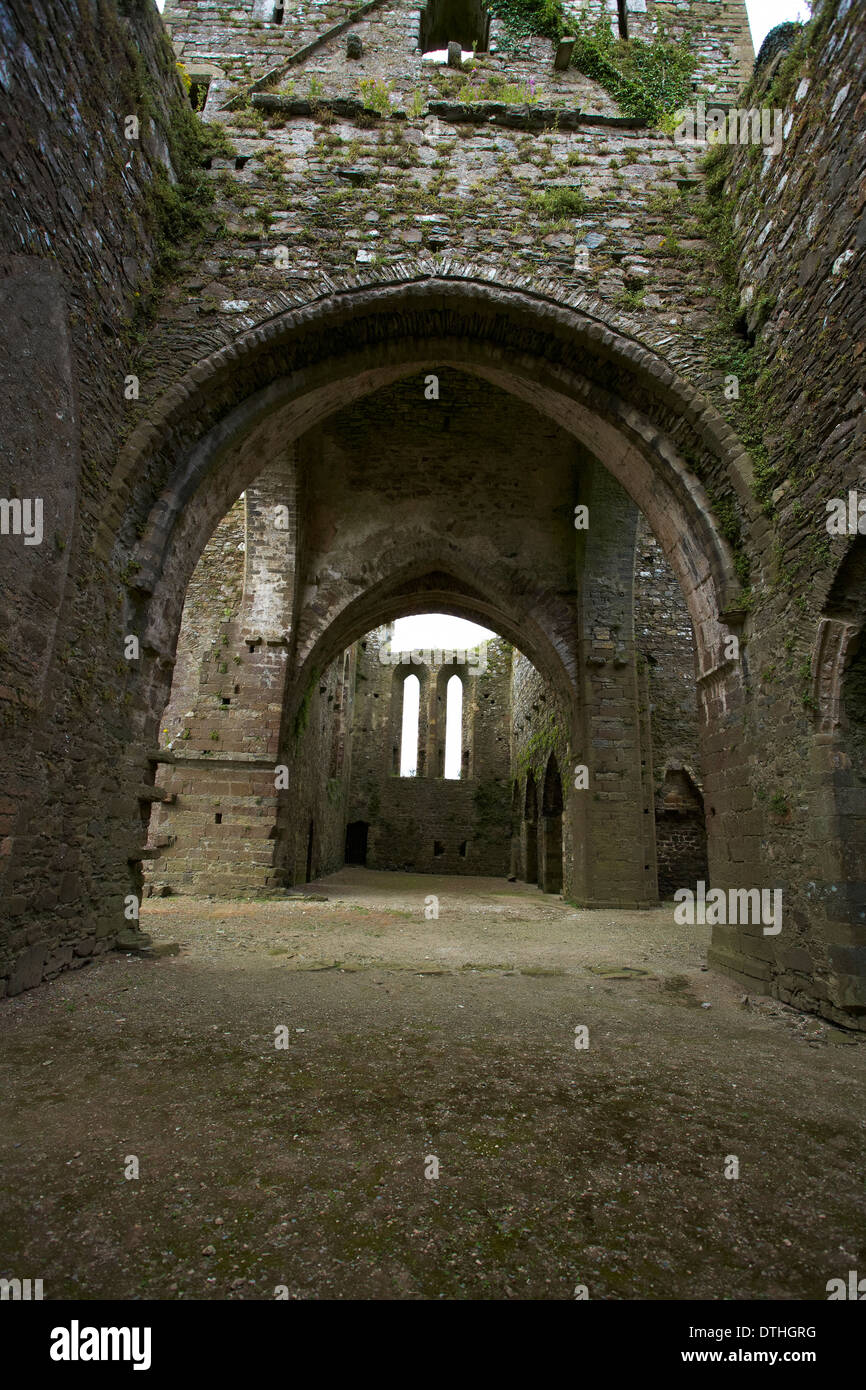 13th century dunbrody abbey hi-res stock photography and images - Alamy
