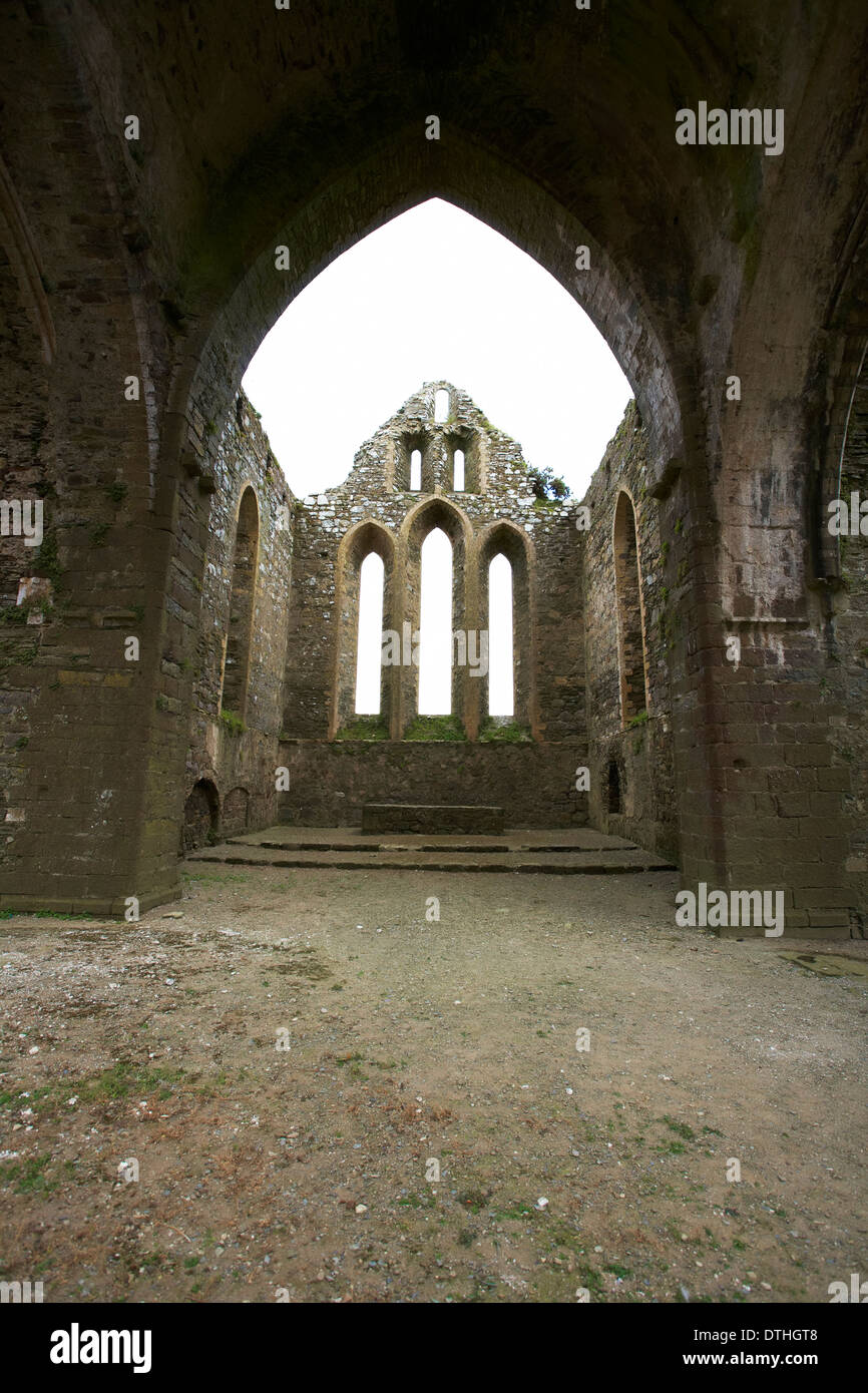 13th century dunbrody abbey hi-res stock photography and images - Alamy
