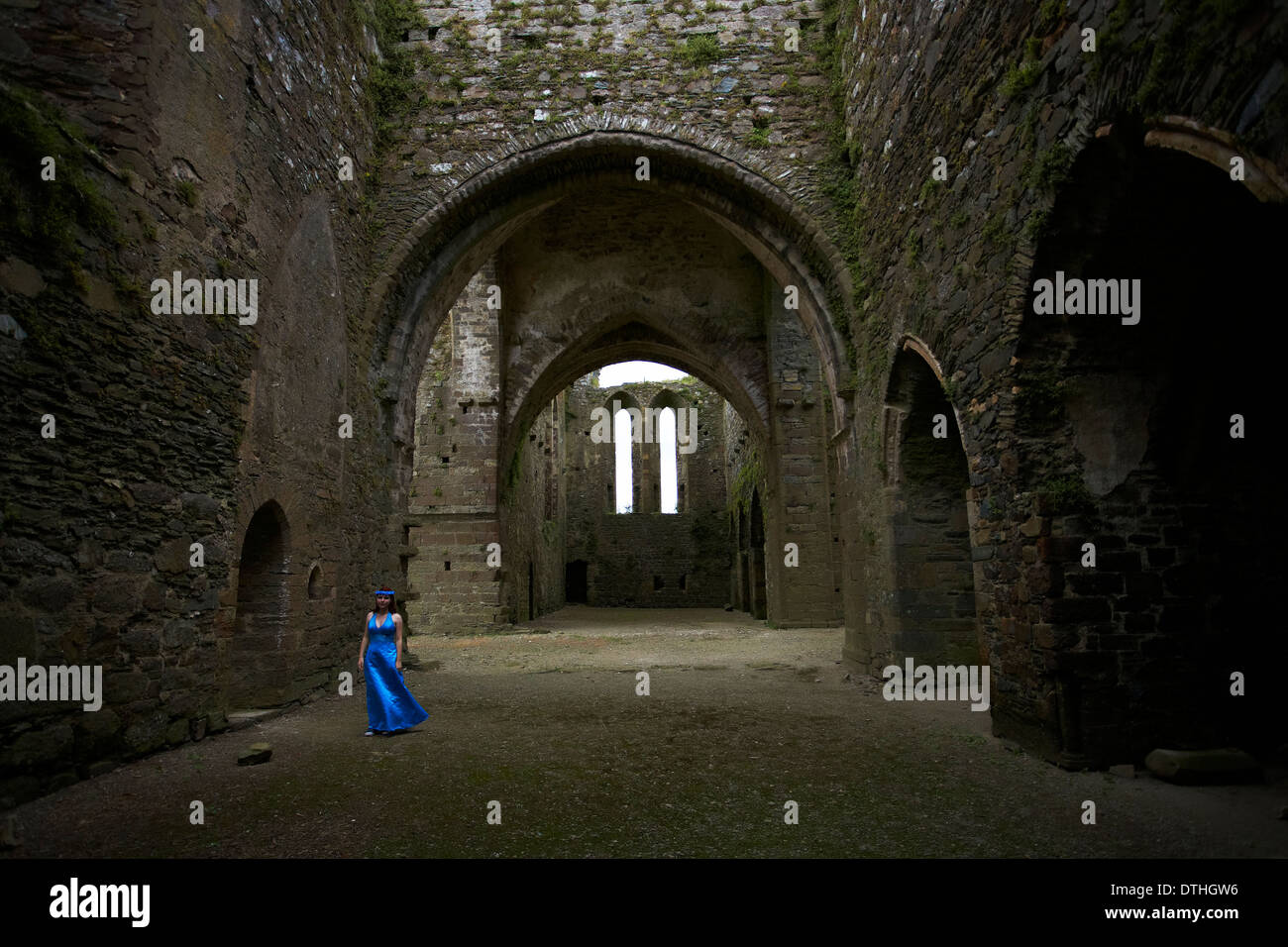 13th century dunbrody abbey hi-res stock photography and images - Alamy
