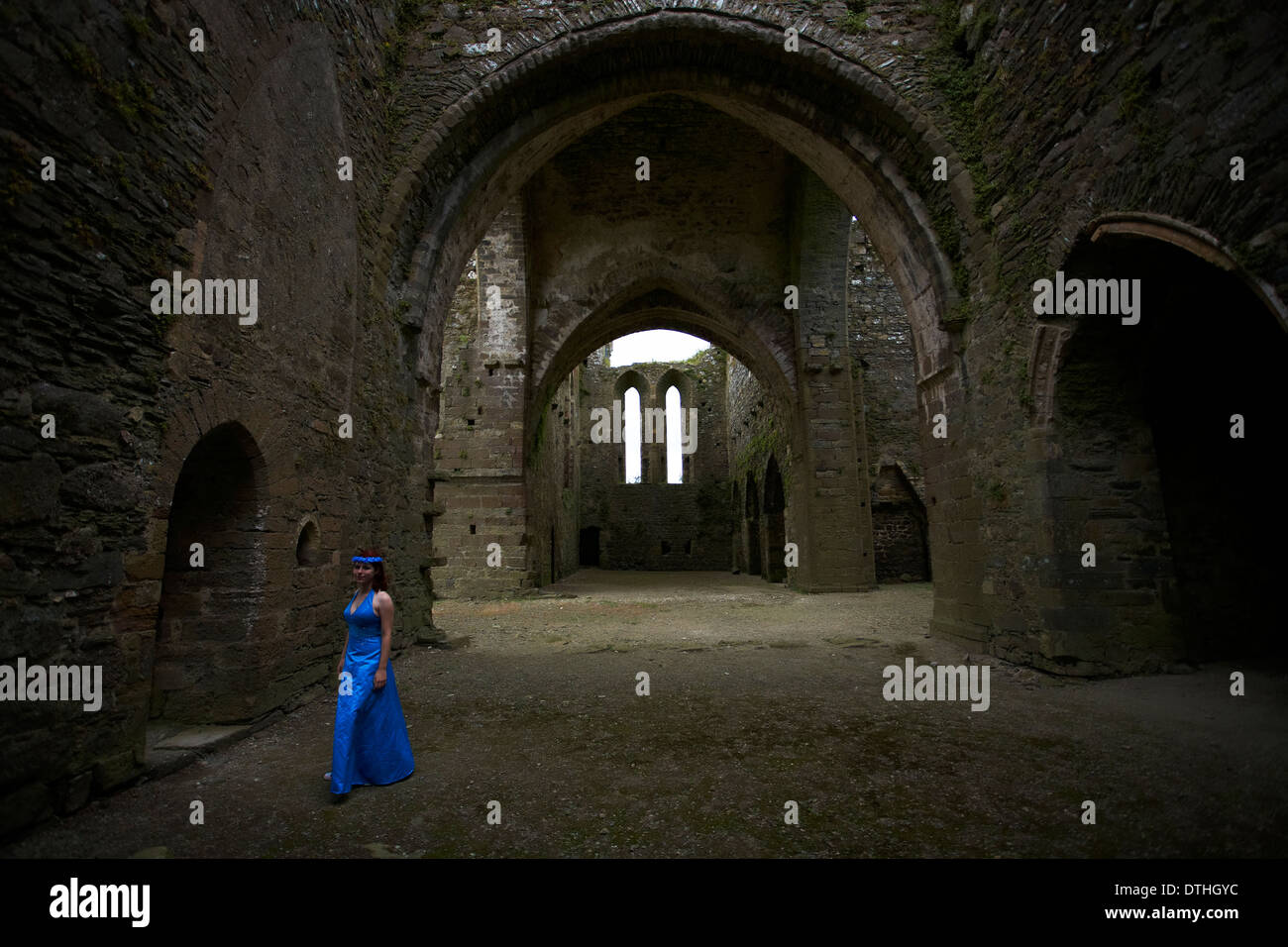 Dunbrody abbey hi-res stock photography and images - Alamy