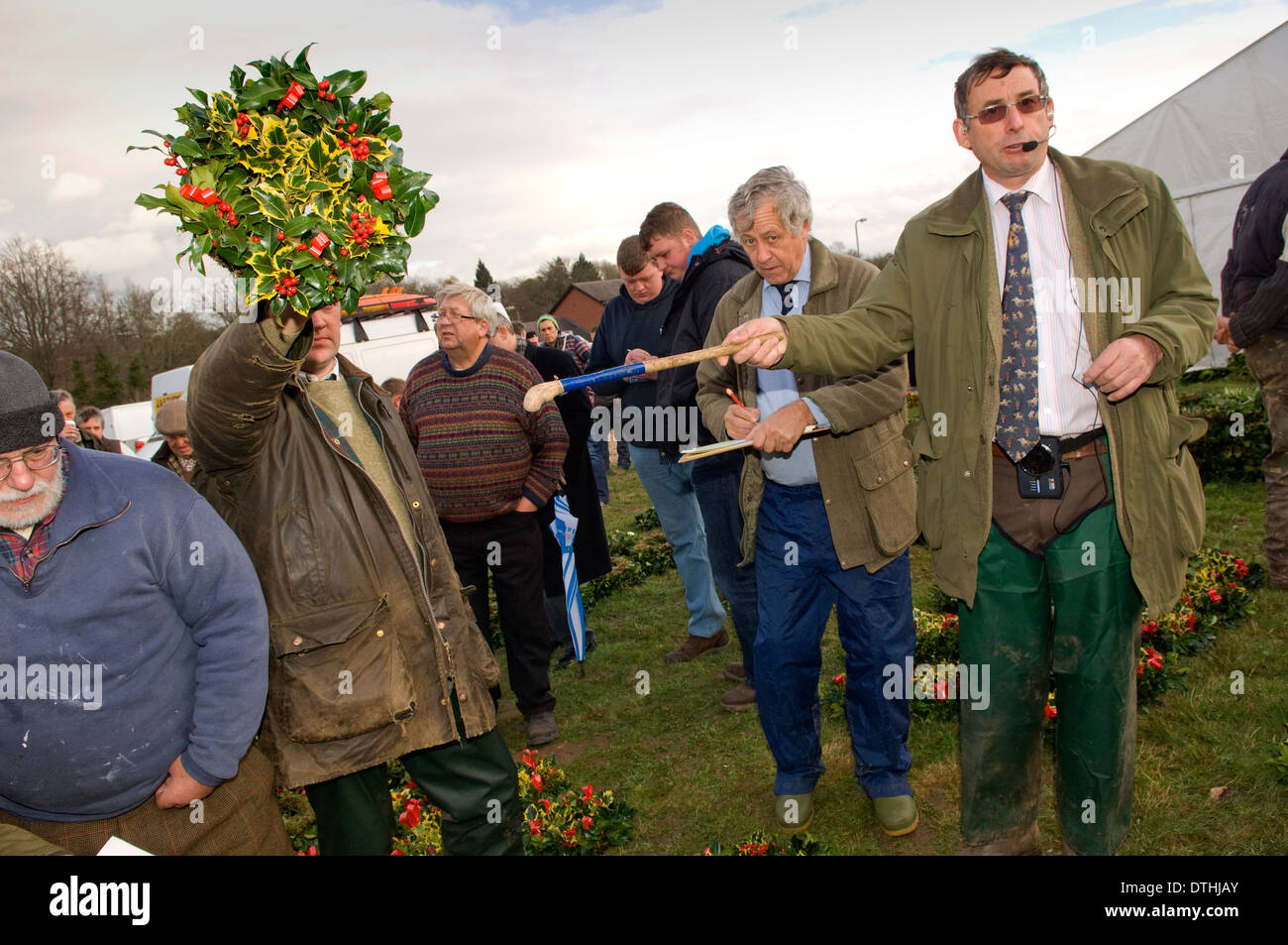 Tenbury Mistletoe & Holly Auction,an annual pre Christmas sale where ...