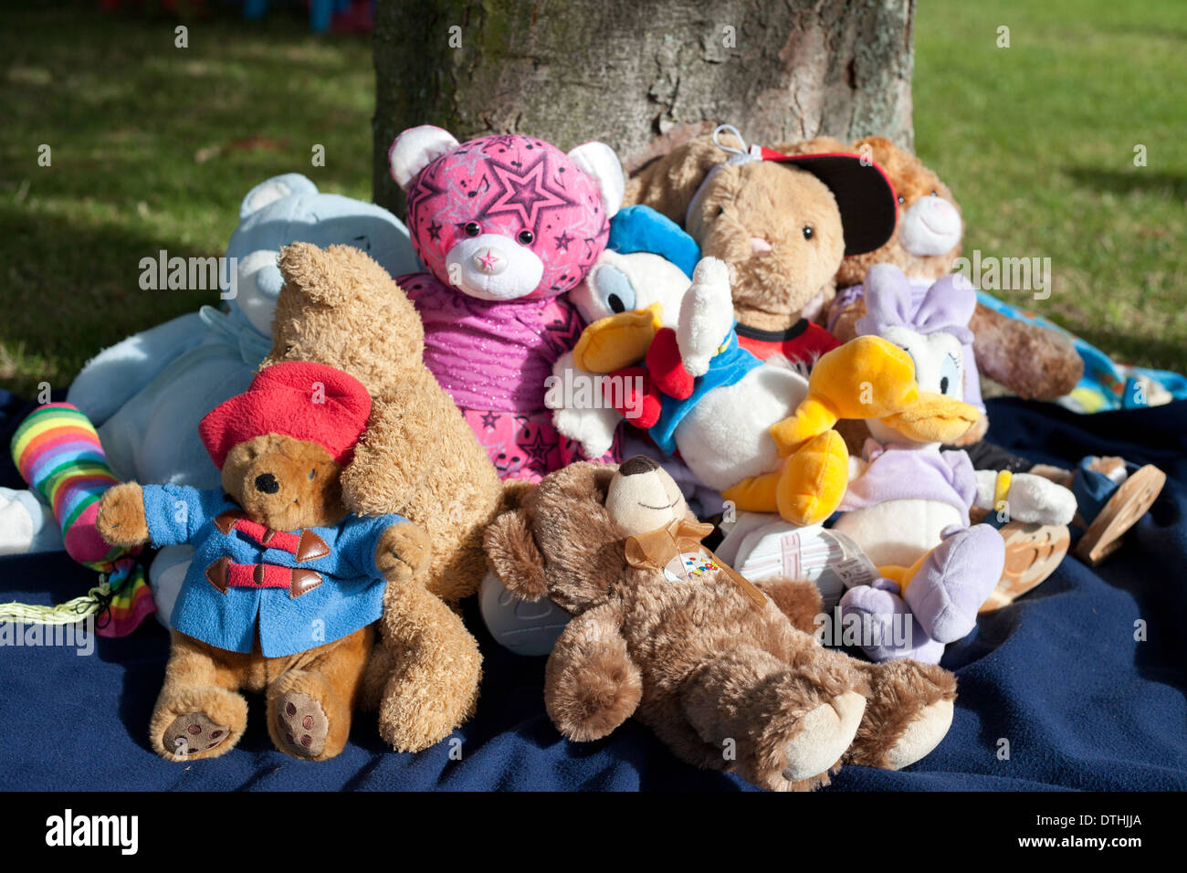 Teddy bear picnic Stock Photo - Alamy