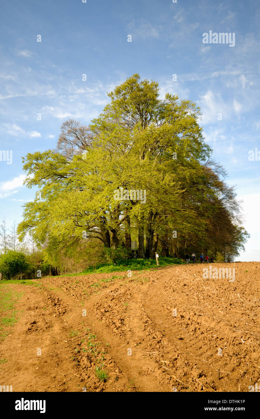Upper brailes warwickshire hi-res stock photography and images - Alamy