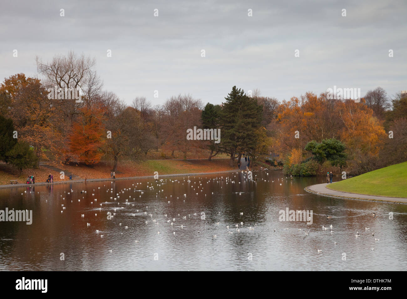 Sefton Park boating lake in Liverpool Stock Photo - Alamy