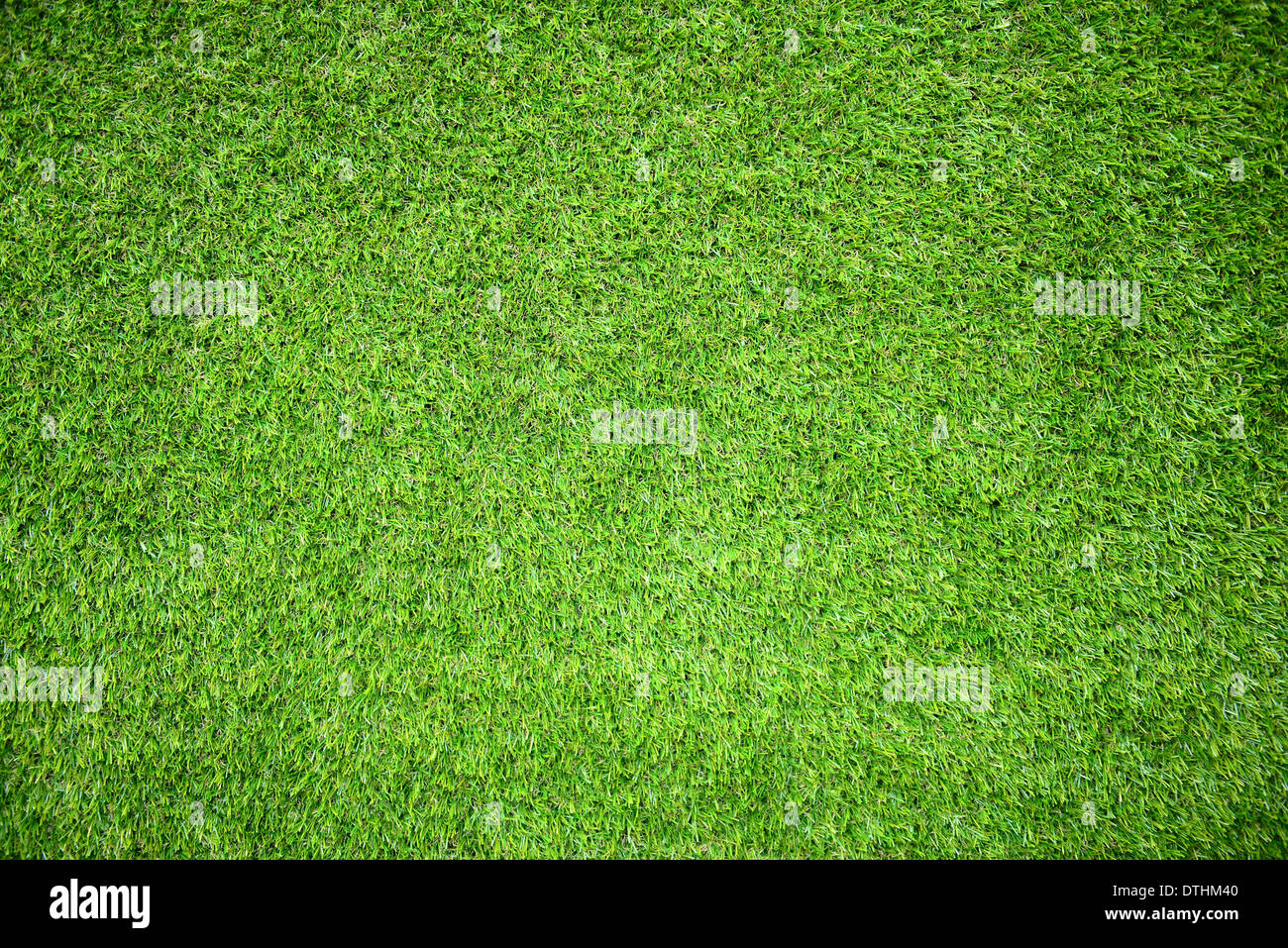 Cricket field grass hi-res stock photography and images - Alamy