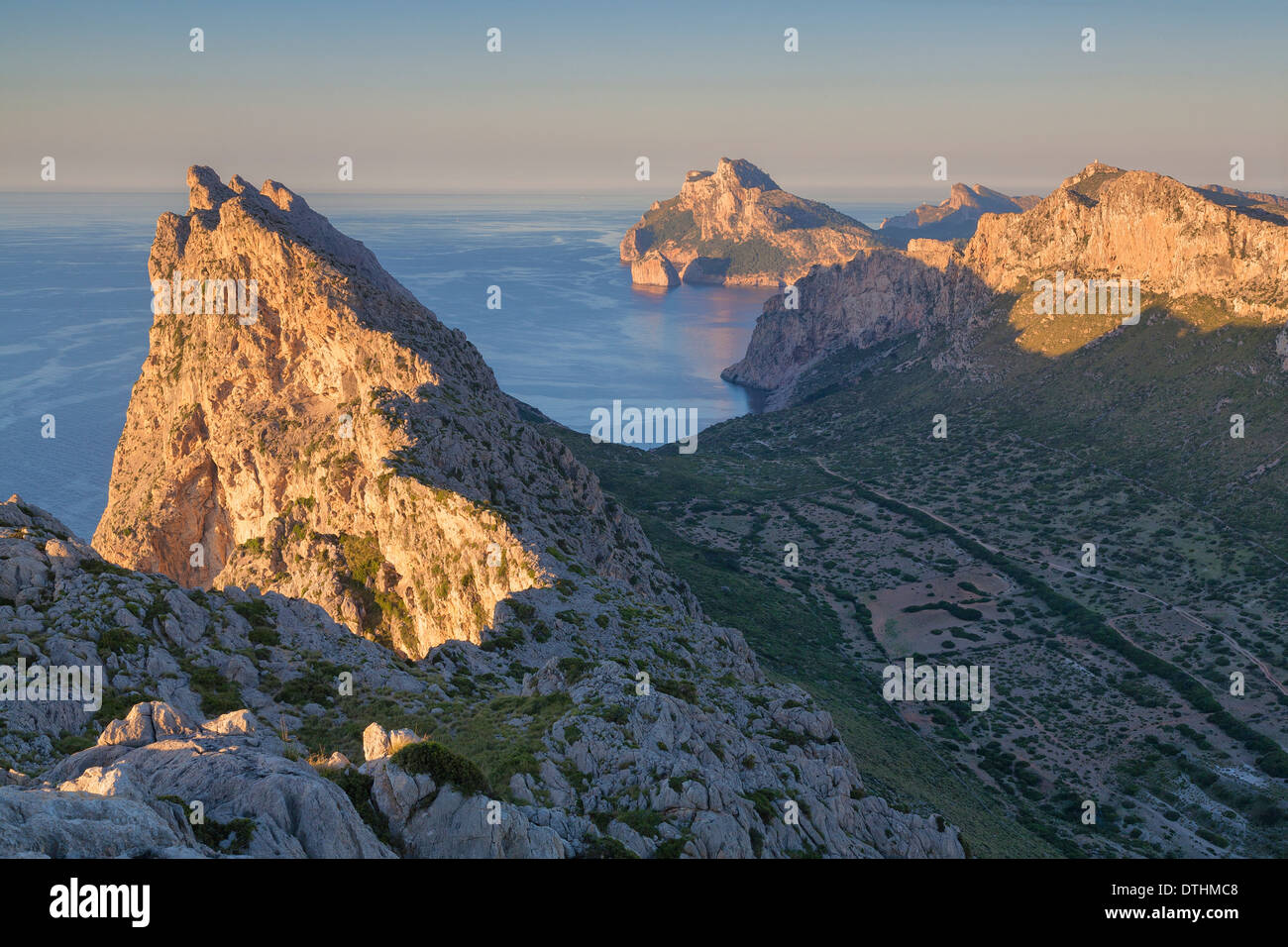 Cavall hi-res stock photography and images - Alamy