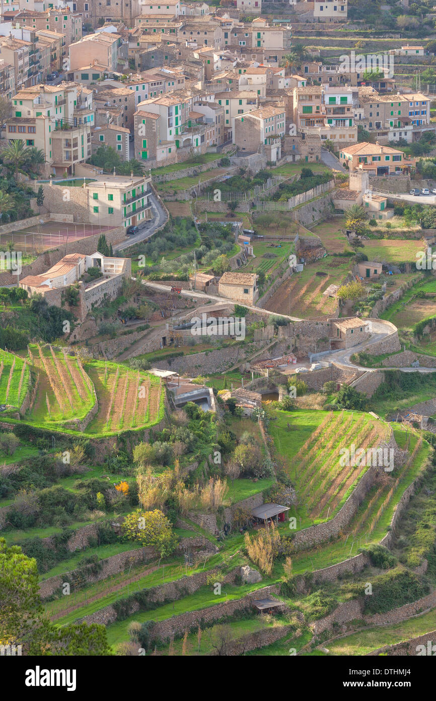 Village of Banyalbufar. Cultivation terraces for optimizing rain water ...