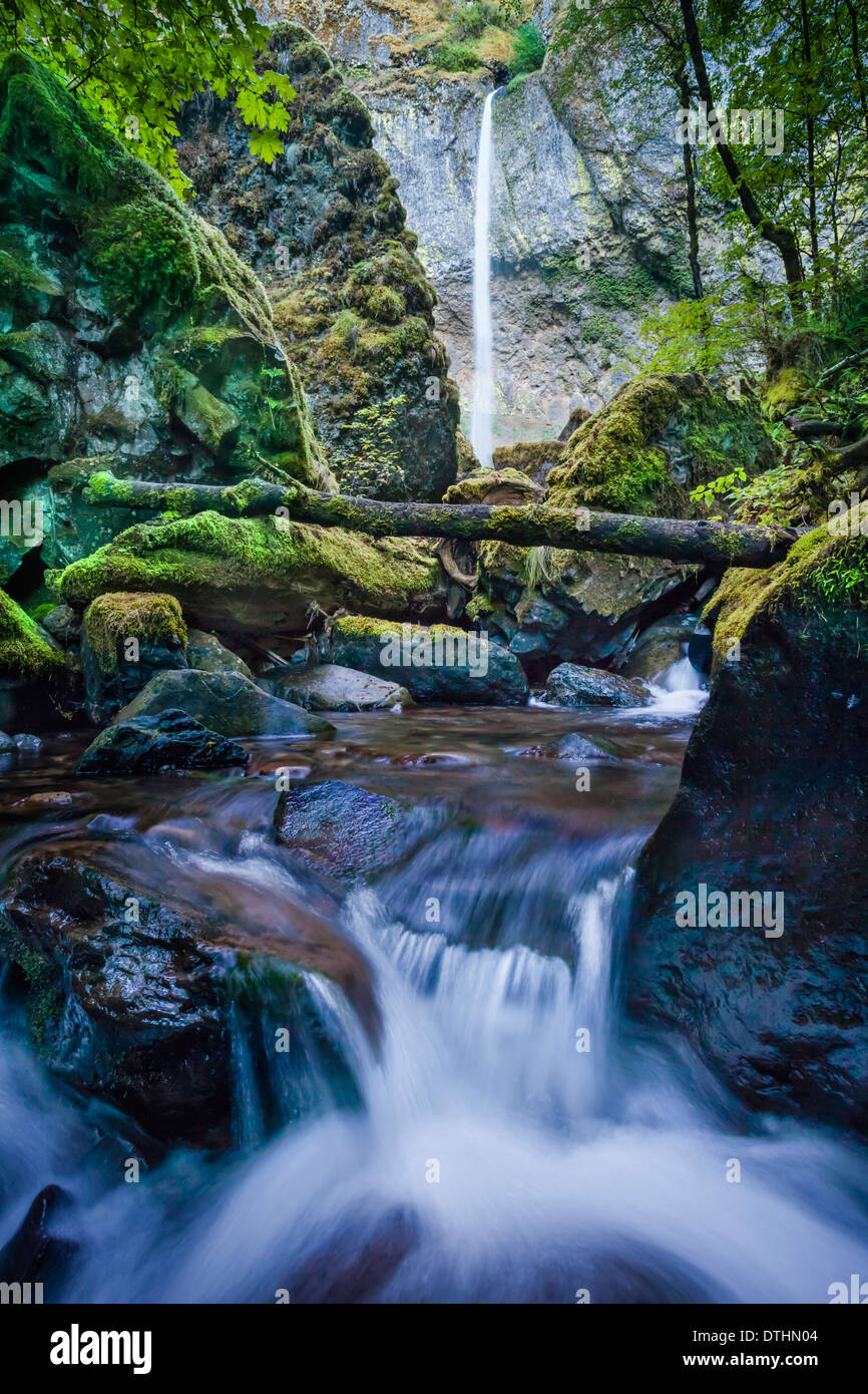 Elowah Falls in the Columbia River Gorge area, Oregon, USA Stock Photo ...