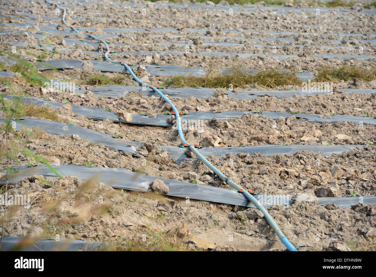 Tillage soil pattern hi-res stock photography and images - Alamy