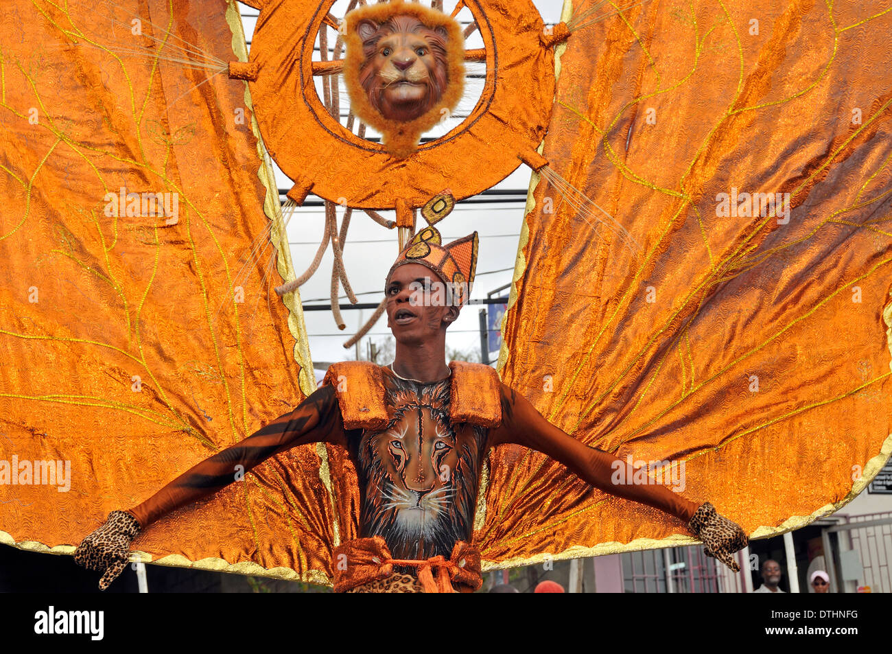 Masquerader at carnival celebration in the streets of Scarborough ...