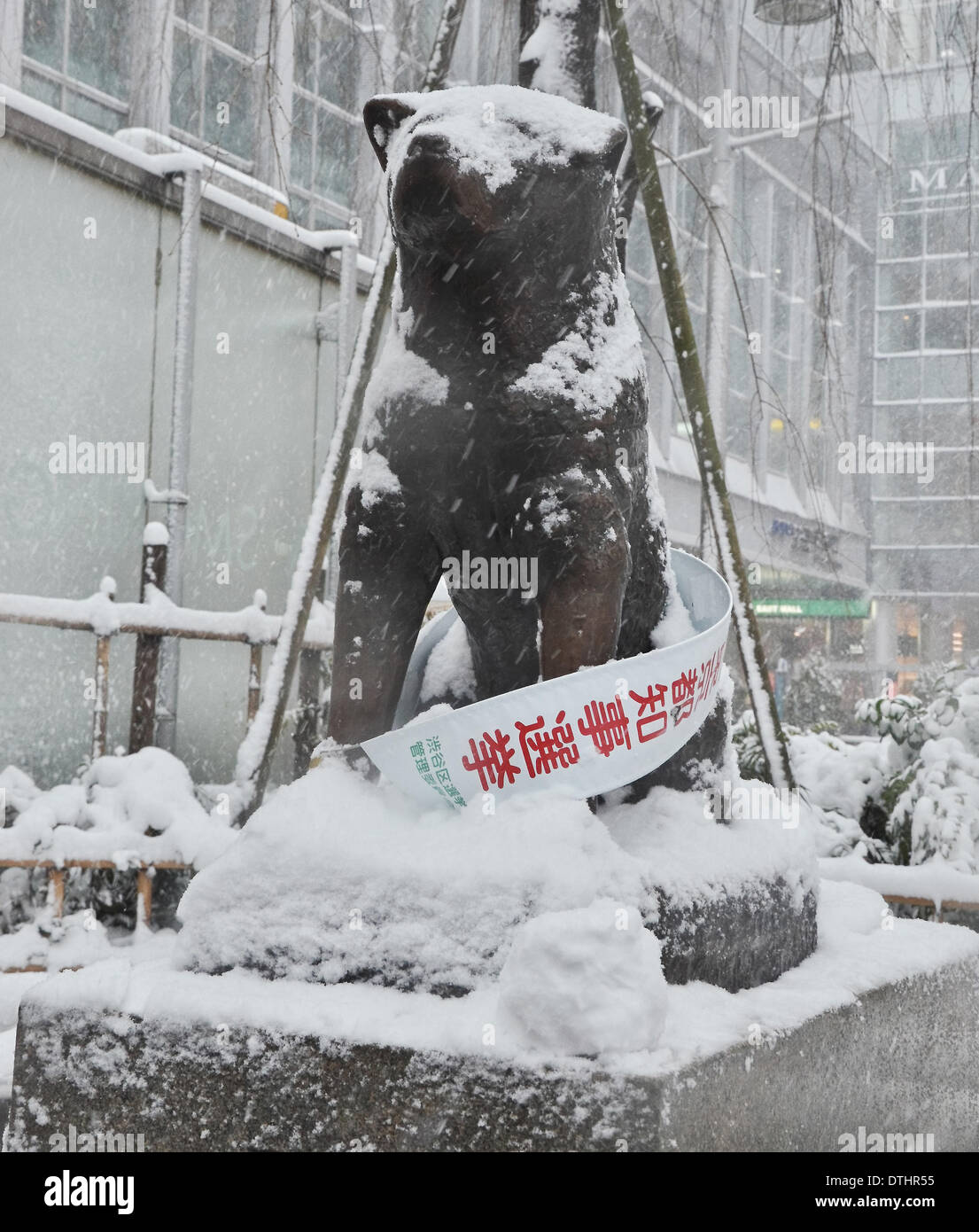 Hachi statue hi-res stock photography and images - Alamy