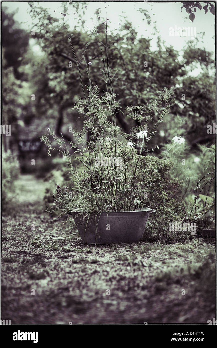 rustic flower arrangements on location in a walled garden Stock Photo ...