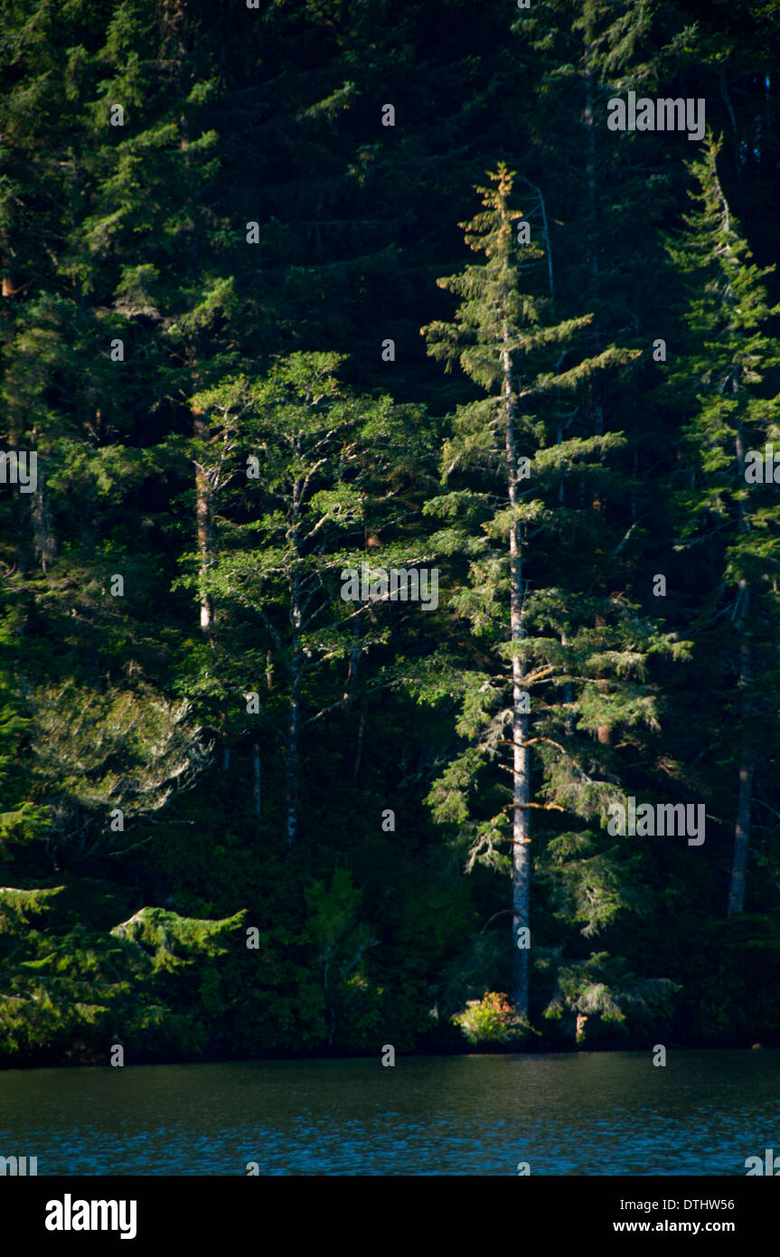 Tahkenitch Lake, Oregon Dunes National Recreation Area, Oregon Stock ...