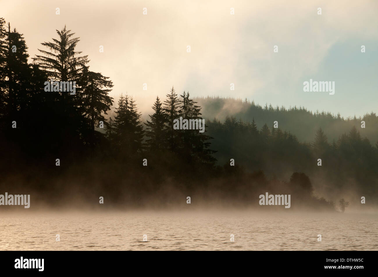 Mist at Jewitt Island on Tahkenitch Lake, Oregon Dunes National ...